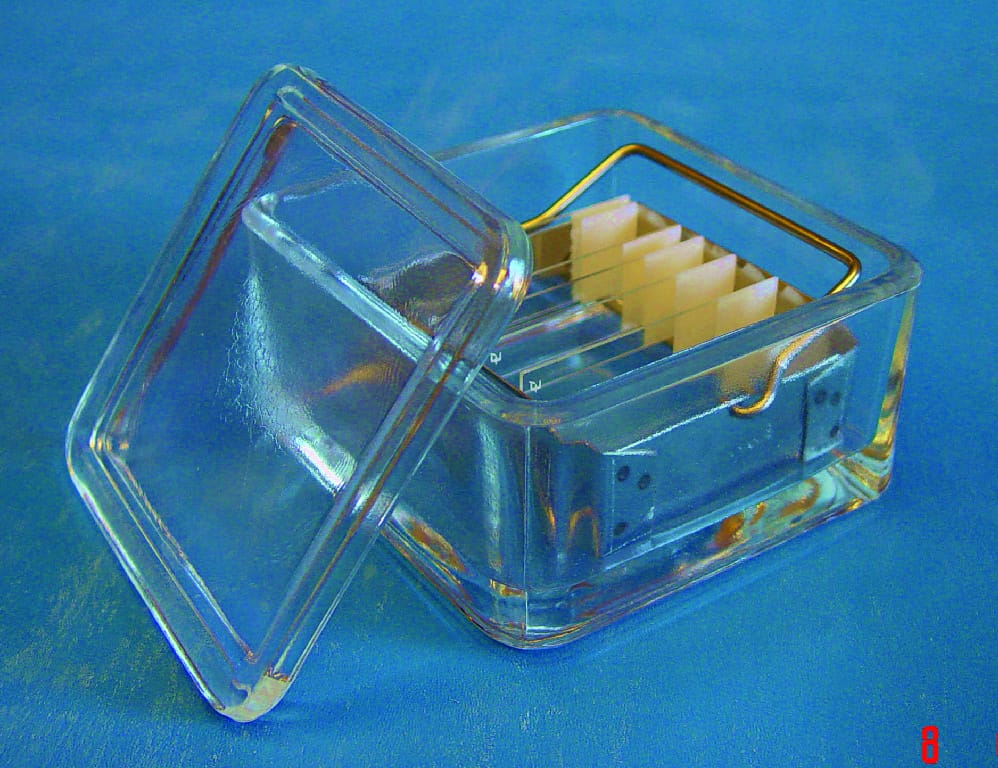 Glass Staining Dish - 25 Slide Unit, Electron Microscopy Sciences ...