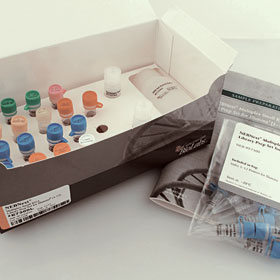 NEBNEXT® Multiplex Small RNA Library Prep Set for Illumina (1-12), New ...