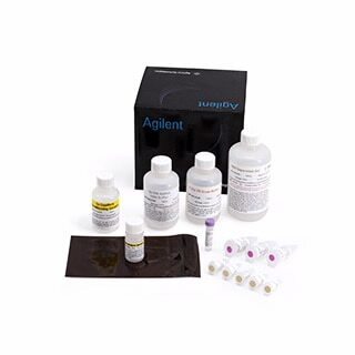 RNA Kits | Capillary Electrophoresis Systems