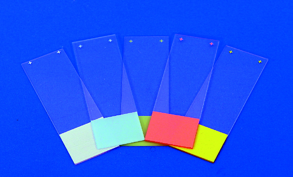 SuperFrost® PLUS Adhesion Slides, Electron Microscopy Sciences | Adhesive Slides