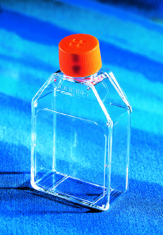 Corning® CellBIND® Flasks, Sterile, Corning | Cell Culture Flasks