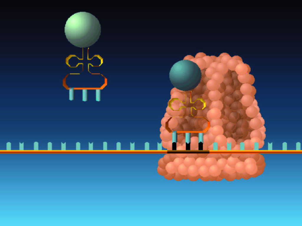 Visualizing Cell Processes Video | Biology Educational Videos