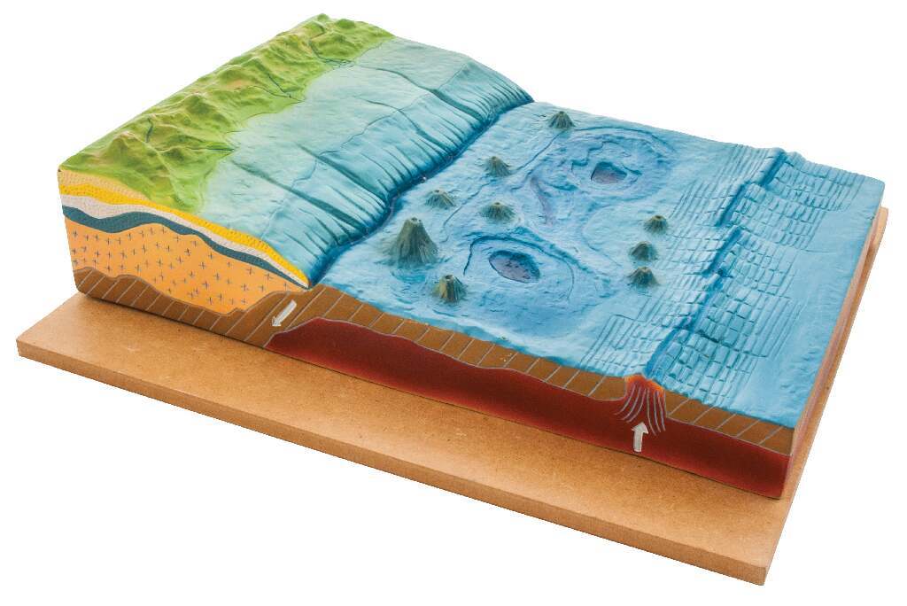 Eisco Ocean Floor Model | Landforms Learning Activities