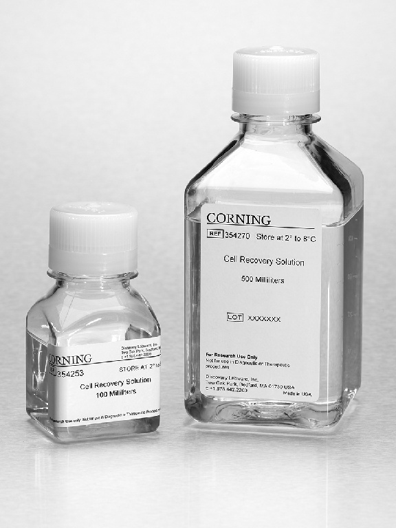 Corning® Cell Recovery Solution, Corning | Cell Culture Supplements and ...