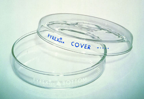 PYREX® Petri Dishes, Corning | Petri Dishes