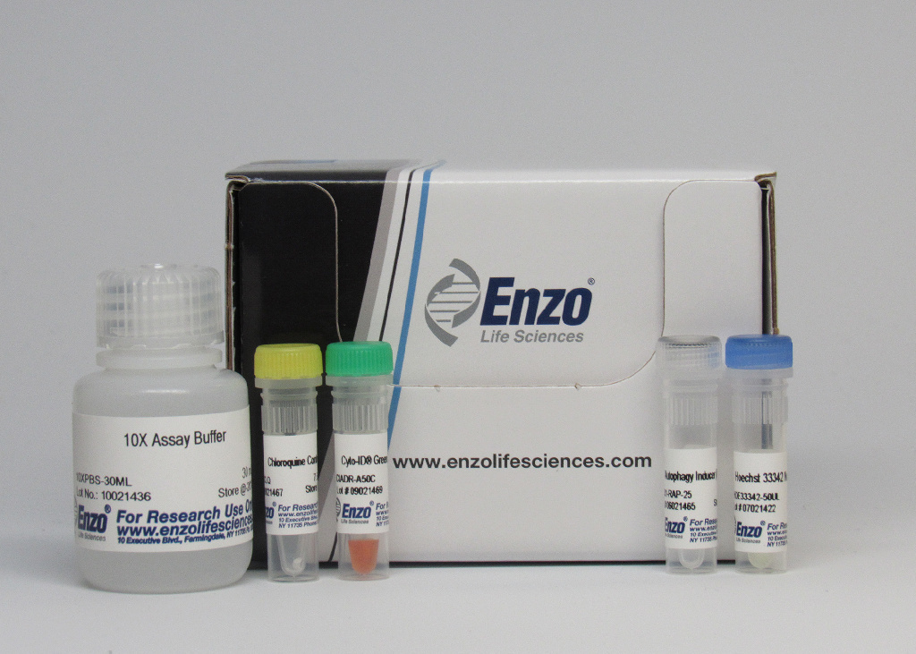 undefined | Cellular Assays