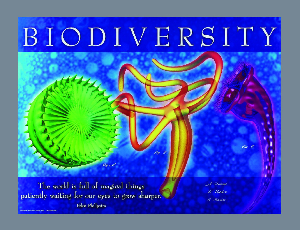 Biology Images and Ideas Posters | Charts