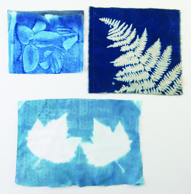 Cyanotyping Kit | Educational Classroom Kits and Activities