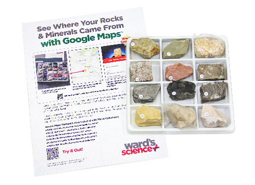Ward's® Sedimentary Rock Collection | Sedimentary Rocks