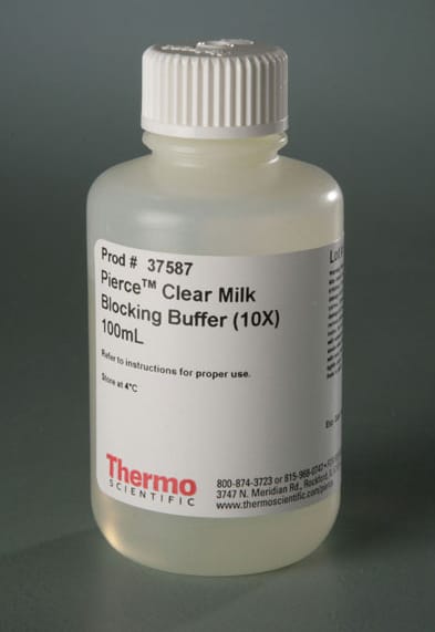 Pierce™ Clear Milk Blocking Buffer (10X), Thermo Scientific | Blocking Buffers