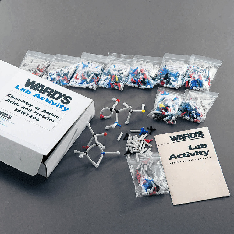 Ward's® Chemistry of Amino Acids and Proteins Lab Activity ...