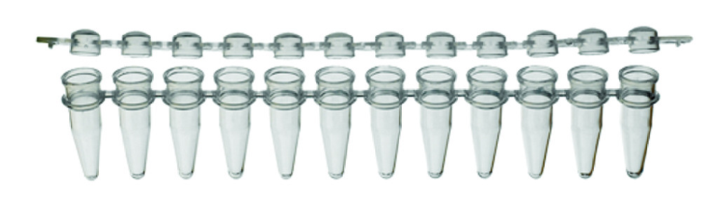 VWR® PCR 12-Well Tube Strips and Caps | PCR Tubes