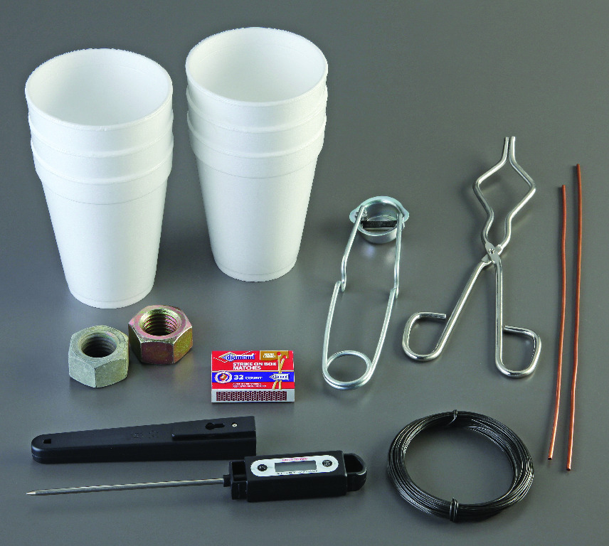 CENCO® AP Physics Lab 15: Temperature of a Bunsen Burner Flame | AP ...