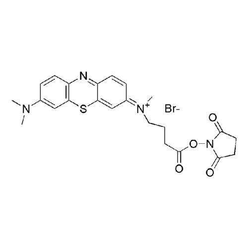 Succinimidyl ester methylene blue DNA/RNA binding dye | Succinimidyl ester methylene blue