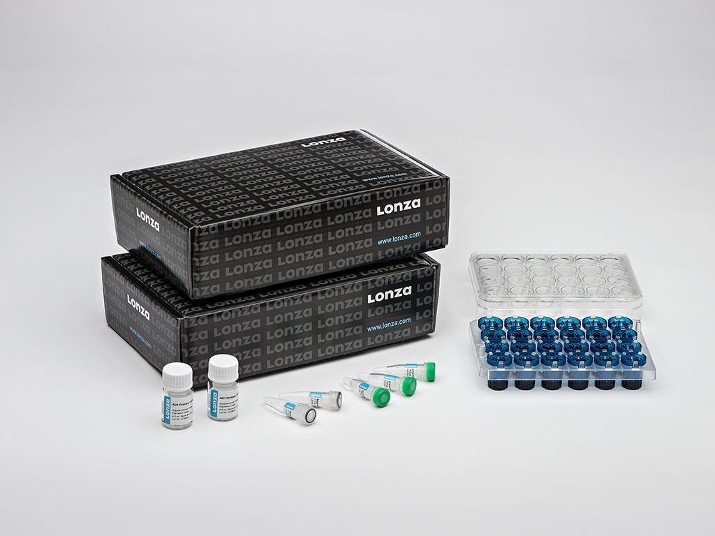 Nucleofector® Primary Cell Optimization 4D-Y Kit | Transfection Reagents