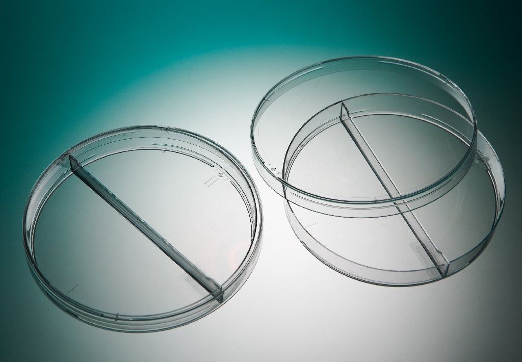 Corning® Gosselin™ Petri Dishes, Corning | Petri Dishes