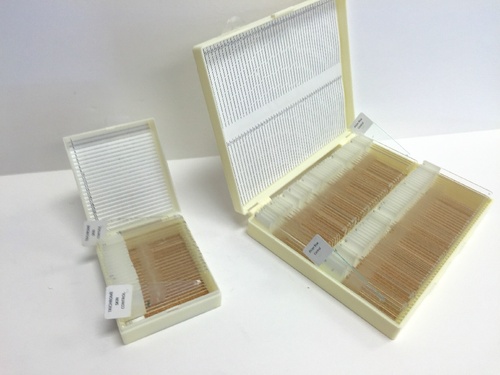 Histology Control Slides, Trichrome, Springside Scientific | Microscopy ...