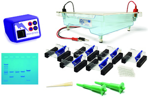 LabStation™ DNA-elektroforese voor in klaslokalen | VWR