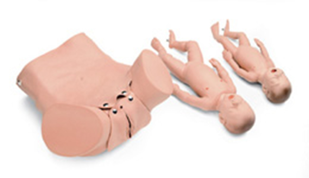 Simulaids® Birthing Simulator | Human Biology Models