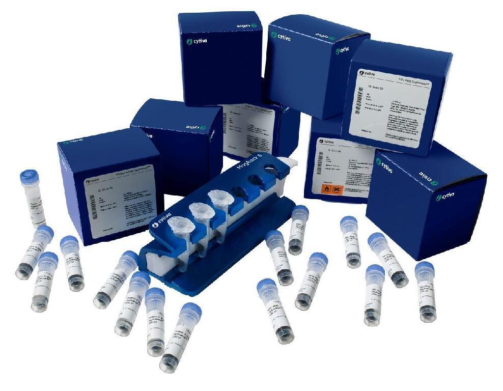 Magnetic Rack, MagRack™ 6, Cytiva | Magnetic Separation Racks