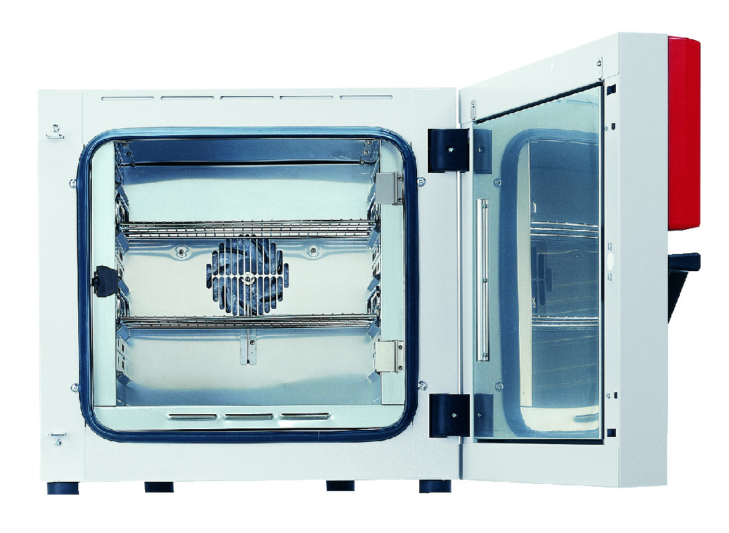 Microbiology Incubators, BF Series, BINDER | Standard Incubators