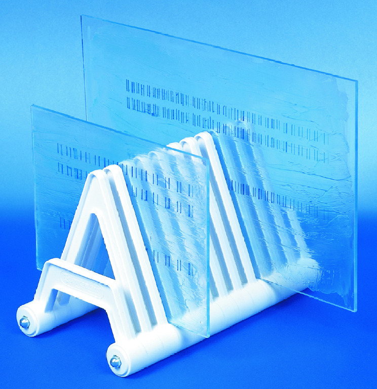 SP Bel-Art Electrophoresis Gel Plate Rack, Bel-Art Products, a part of ...