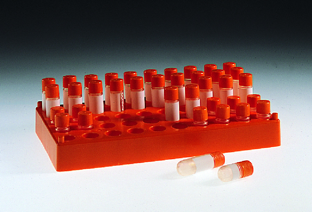 Corning® Cryogenic Vial Rack, Polypropylene, 50-Position, Corning | Cryogenic Vial Racks