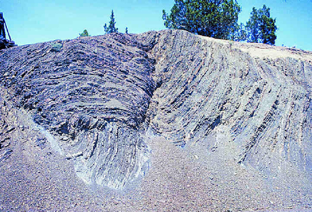 Plate Tectonics: The Puzzle of the Continents DVD | Earth Science ...