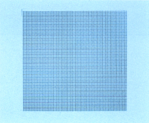 Square and Grid Scales, Electron Microscopy Sciences | Graticules ...