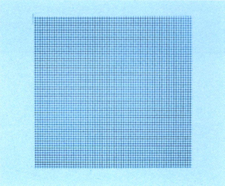 Square and Grid Scales, Electron Microscopy Sciences | Graticules ...