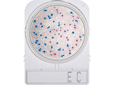 CompactDry™ E. coli (EC), Hardy Diagnostics | Microorganism Tests