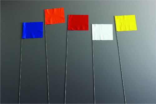 Stake Flags | Environmental Learning Activities