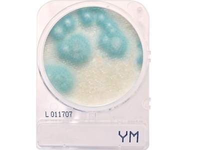 CompactDry™ Yeast/Mold (YM), Hardy Diagnostics | Microorganism Tests