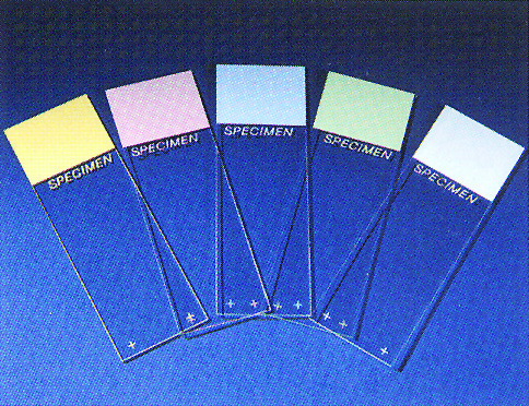 SuperFrost® PLUS Adhesion Slides, Electron Microscopy Sciences ...