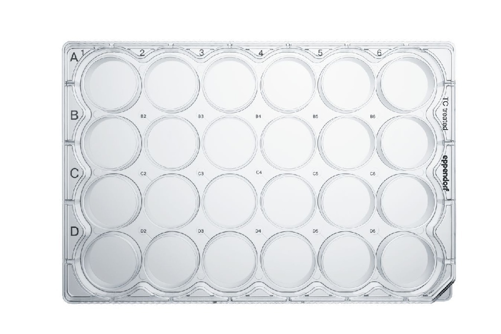 Cell Culture Plates, Eppendorf | Cell Culture Plates